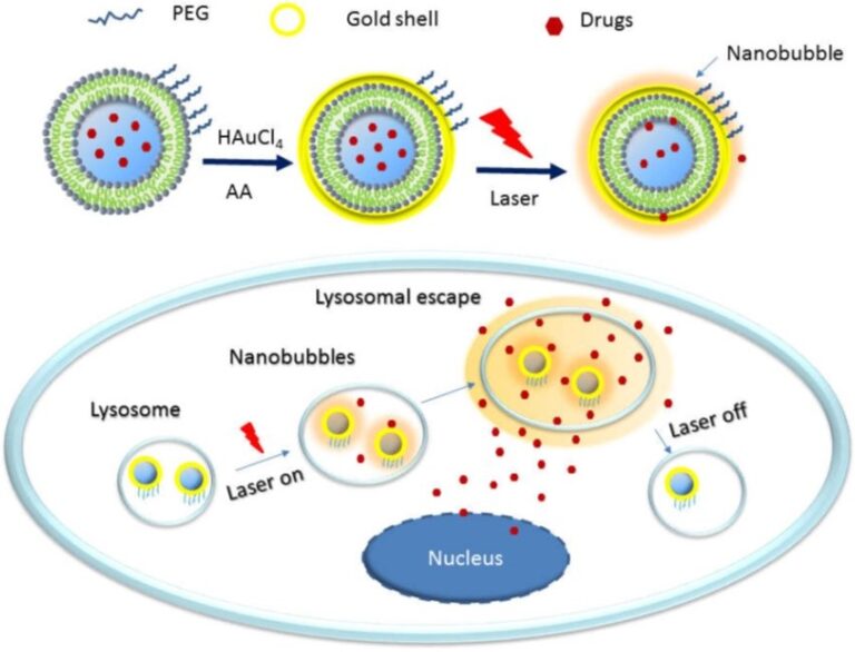 On-demand amplification of chemotherapy by ultra-fast drug release from ...