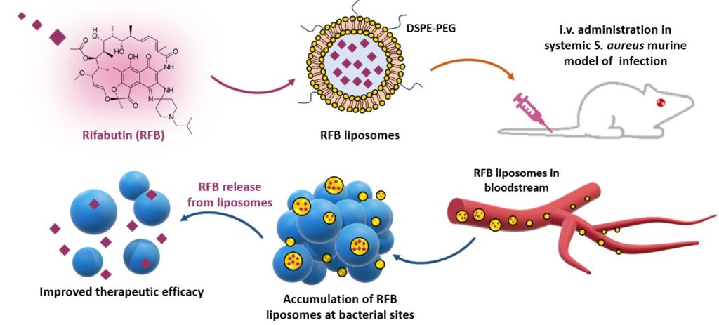 Rifabutin liposomes: a novel nanotechnological strategy for effective ...