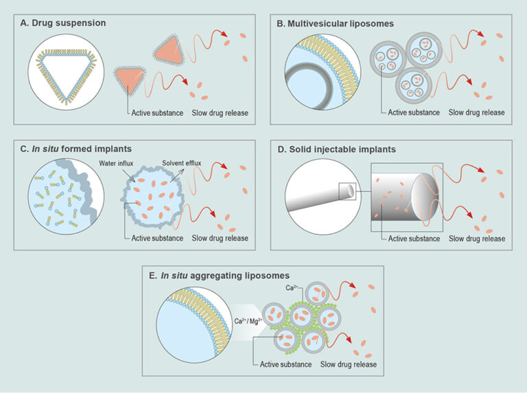 Phospholipids for Injectable Depot Formulations - Phospholipid Research ...