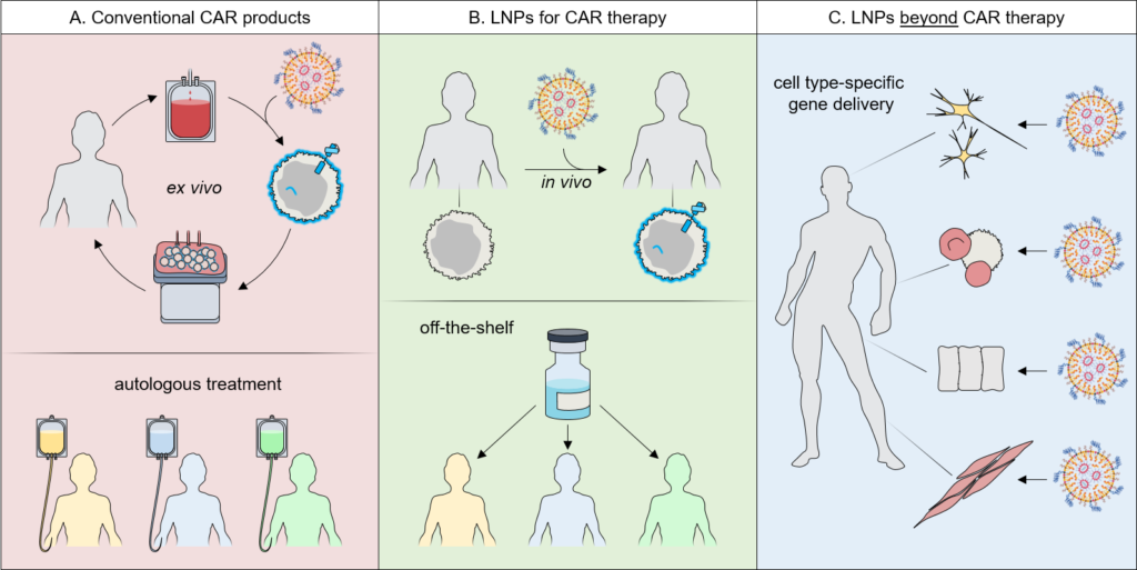 Receptor-targeted lipid nanoparticles for mRNA delivery into T ...